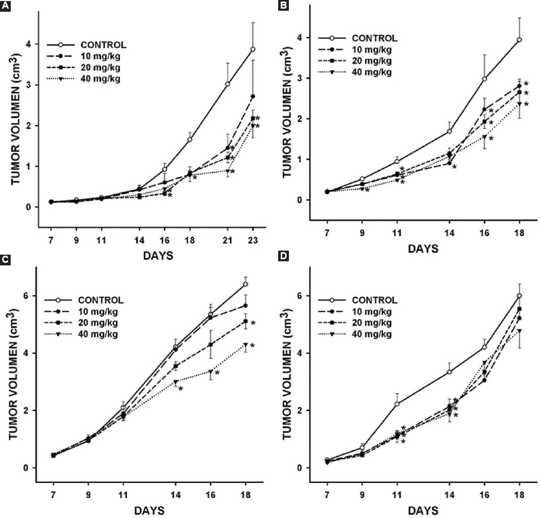 In vitro anti-proliferative effect and in vivo antitumor action of ...