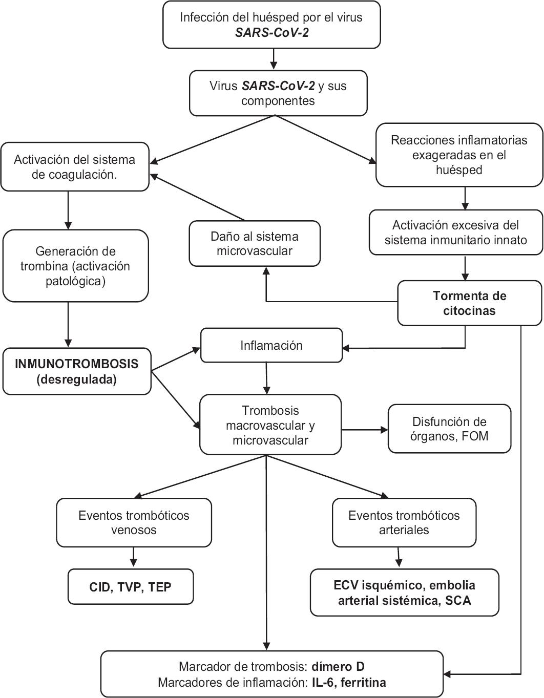 Alteraciones de la coagulación en la COVID-19