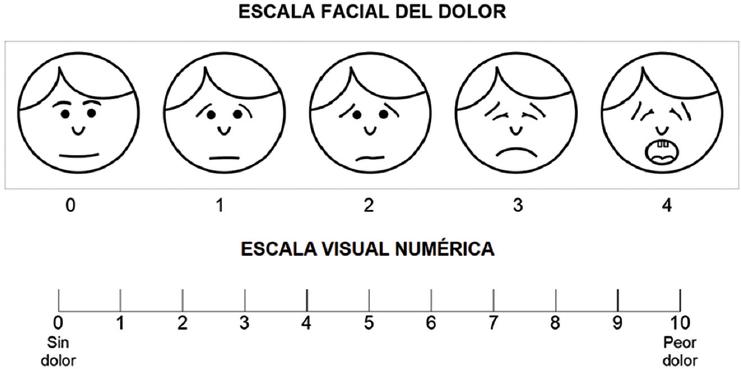 Validación de una escala facial de dolor en pacientes geriátricos ...