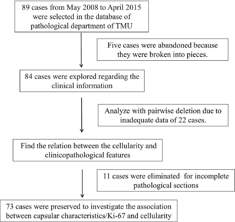 Cellularity and its relation with capsular characteristics as an ...