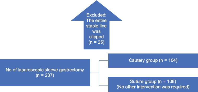 Management of the staple line bleeding in laparoscopic sleeve ...