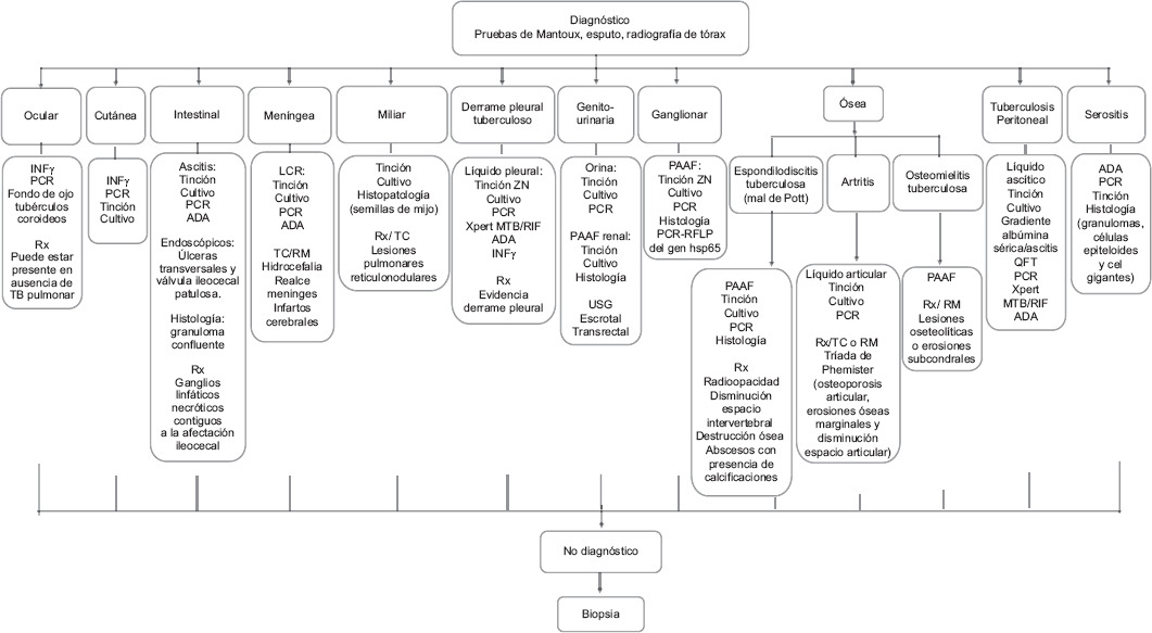 Tuberculosis extrapulmonar: un problema de salud pública