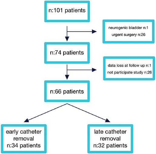 Comparison of early and late removal of the urinary catheter after ...