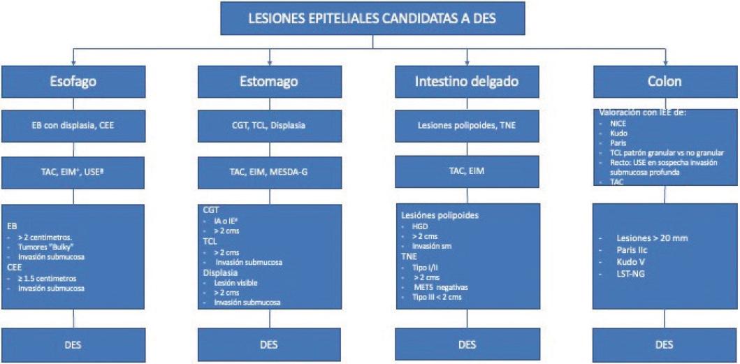 Disección endoscópica submucosa para el tratamiento de neoplasias ...