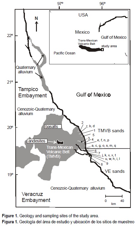 Modern sands of the Gulf of Mexico: Discriminating fluvial and coastal ...