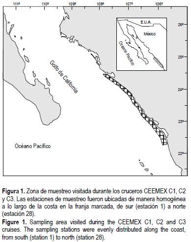 Estomatópodos del género Squilla (Hoplocarida: Stomatopoda: Squillidae ...