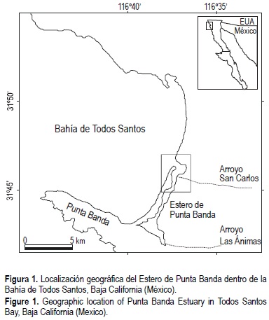 Cambios en la posición de la línea de playa de la boca del Estero de ...