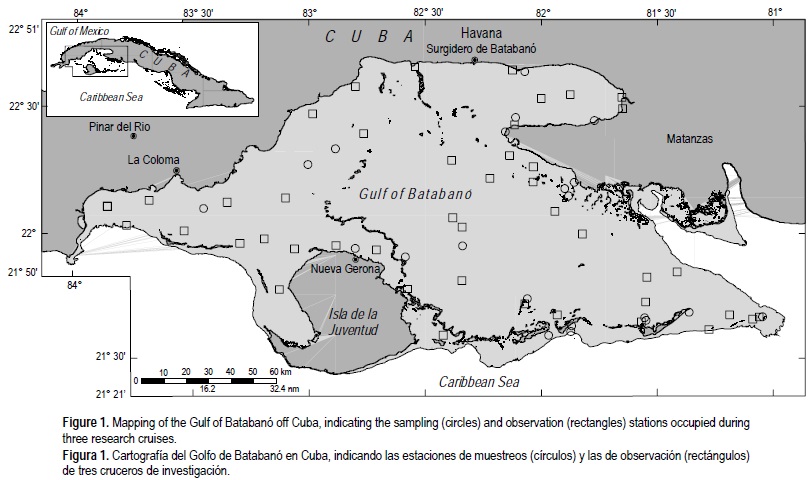 Cartografía de la distribución espacial de los hábitats bentónicos en ...
