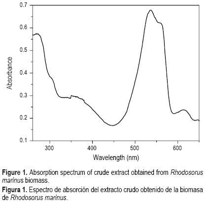 Extracción y purificación de B-ficoeritrina de la microalga roja ...