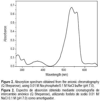 Extracción y purificación de B-ficoeritrina de la microalga roja ...