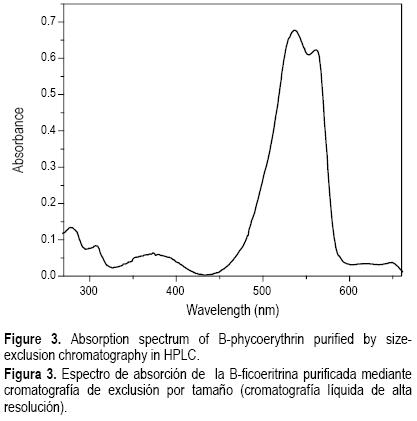Extracción y purificación de B-ficoeritrina de la microalga roja ...