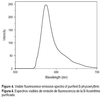 Extracción y purificación de B-ficoeritrina de la microalga roja ...