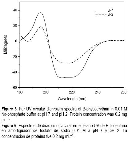 Extracción y purificación de B-ficoeritrina de la microalga roja ...