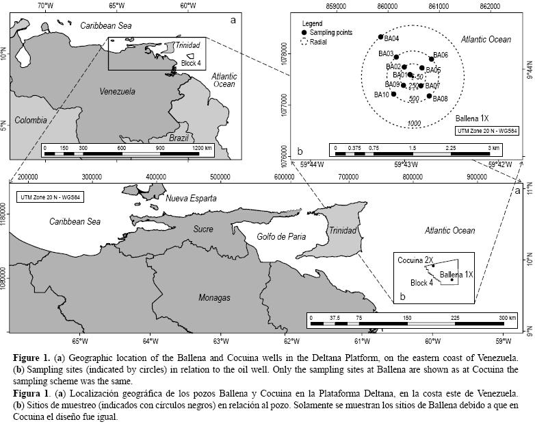 Primer estudio ambiental de descargas asociadas con perforaciones de ...