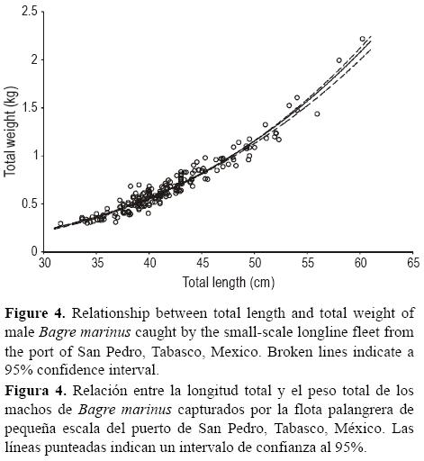 La importancia de los machos del bagre bandera, Bagre marinus (Pisces ...