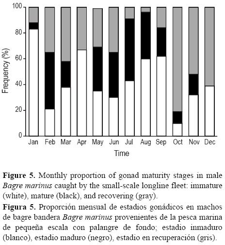 La importancia de los machos del bagre bandera, Bagre marinus (Pisces ...