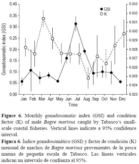 La importancia de los machos del bagre bandera, Bagre marinus (Pisces ...