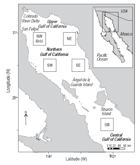 Nutrient input from the Colorado River to the northern Gulf of ...