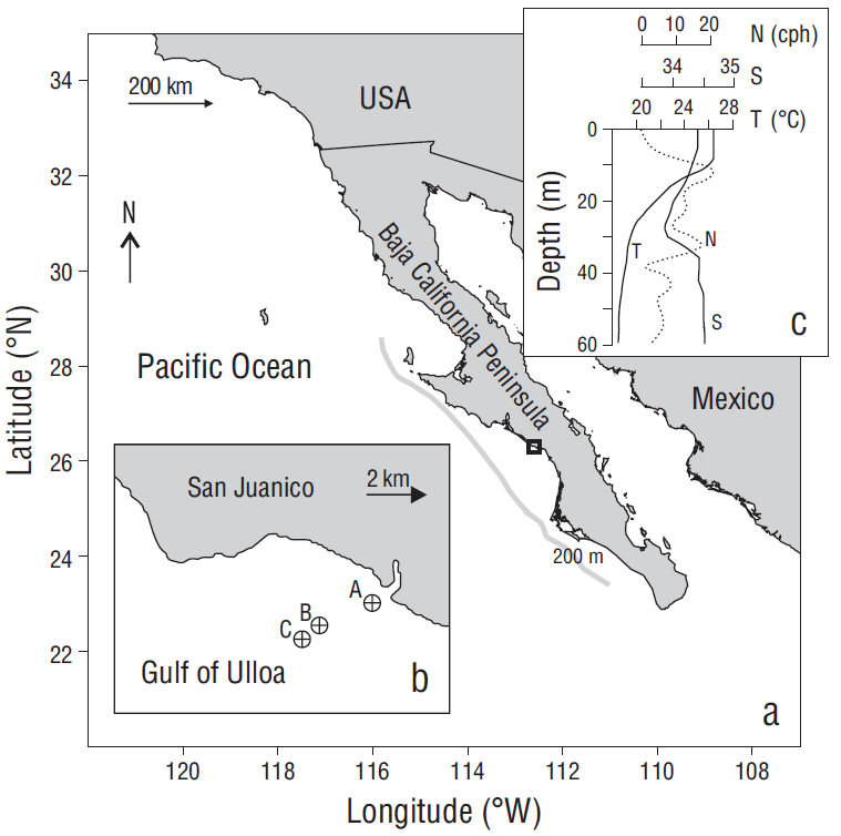 Diurnal frequency internal waves in the southern part of the California ...