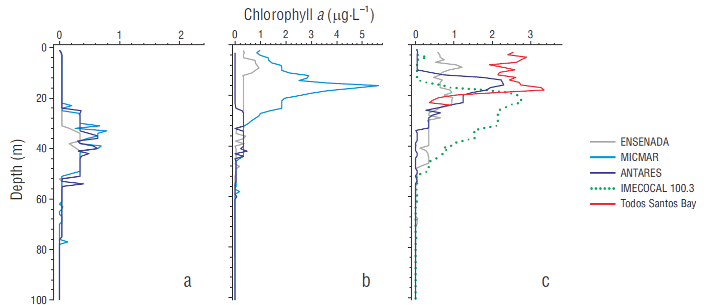 Temporal and spatial distribution of transparent exopolymer particles ...