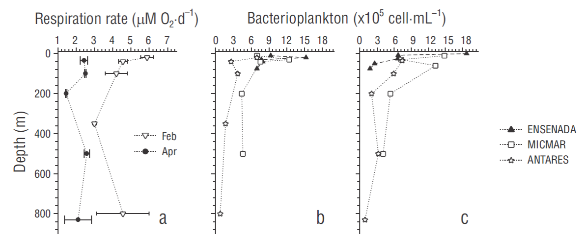Temporal and spatial distribution of transparent exopolymer particles ...