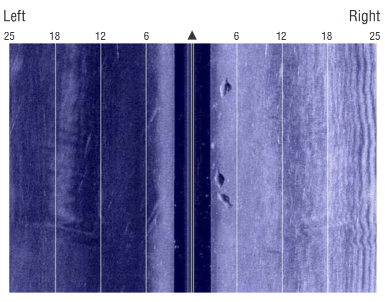 First field-based estimate of Antillean manatee abundance in the San ...