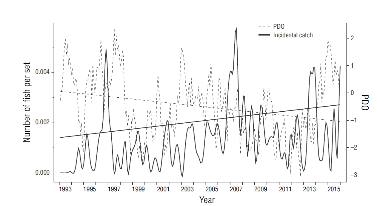 Incidental catch of the rare shortbill spearfish (Tetrapturus ...