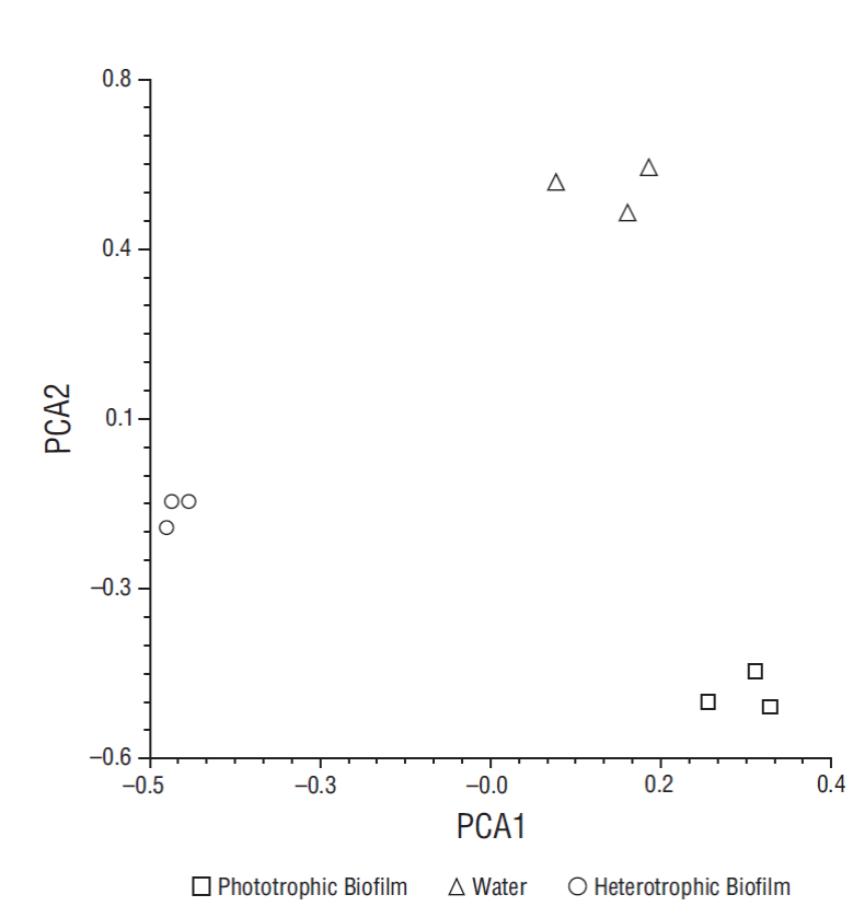 Taxonomic profile of bacterial communities detected with 16S-rRNA in ...