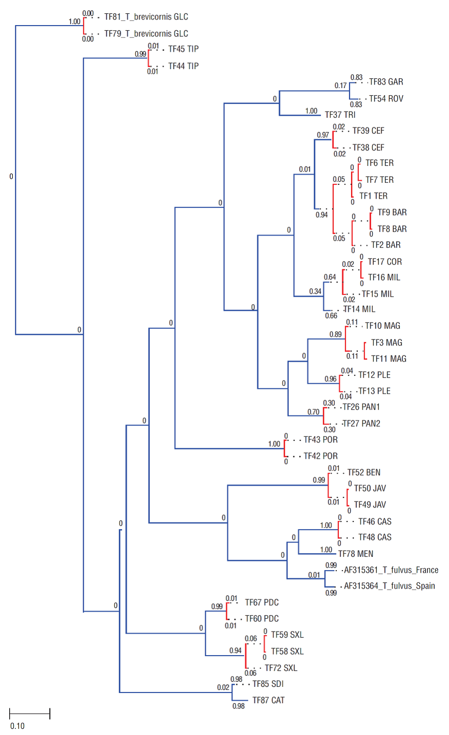 An account on the taxonomy and molecular diversity of a marine rock ...