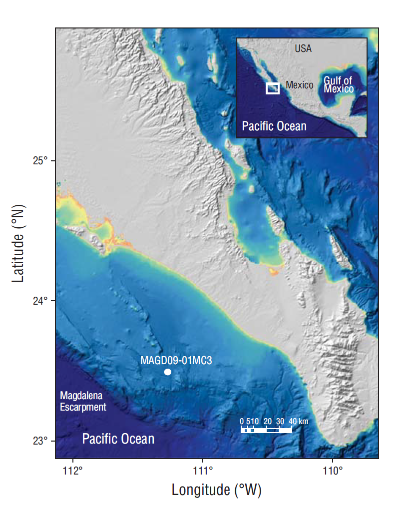 Paleoceanographic and paleoclimatic reconstruction based on marine ...