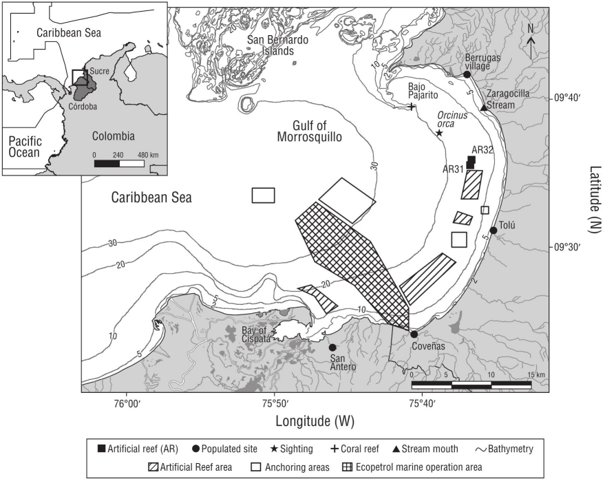 A new sighting of killer whale, Orcinus orca, in Caribbean inshore ...