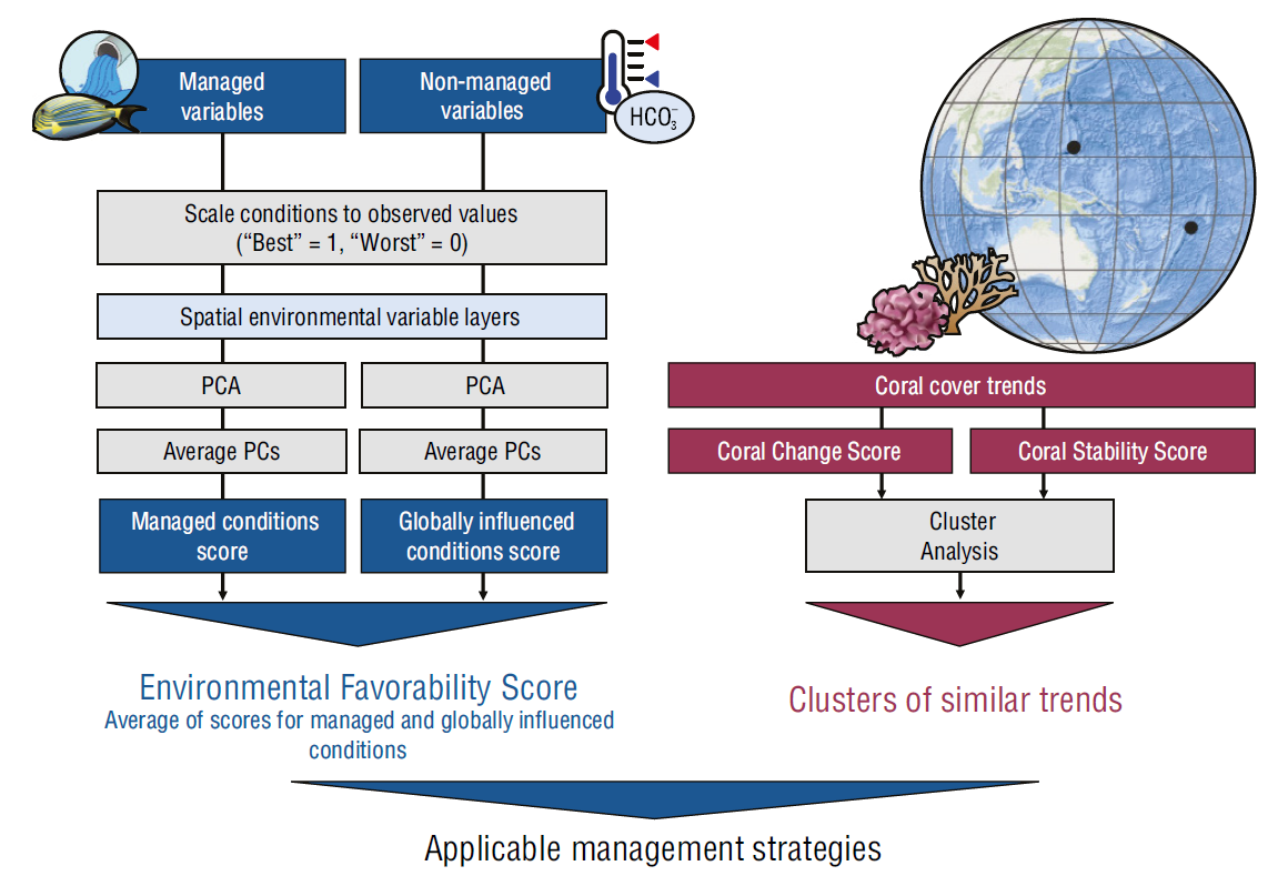Where are resilience-based management strategies appropriate for coral ...