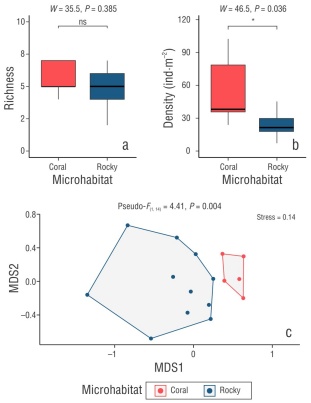 Comparing richness and abundance of cryptobenthic reef fishes in coral ...