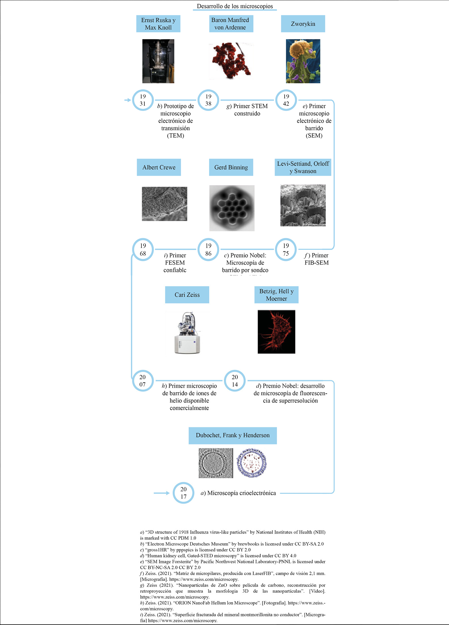 El microscopio bajo mis manos: breve historia, funcionamiento y ...
