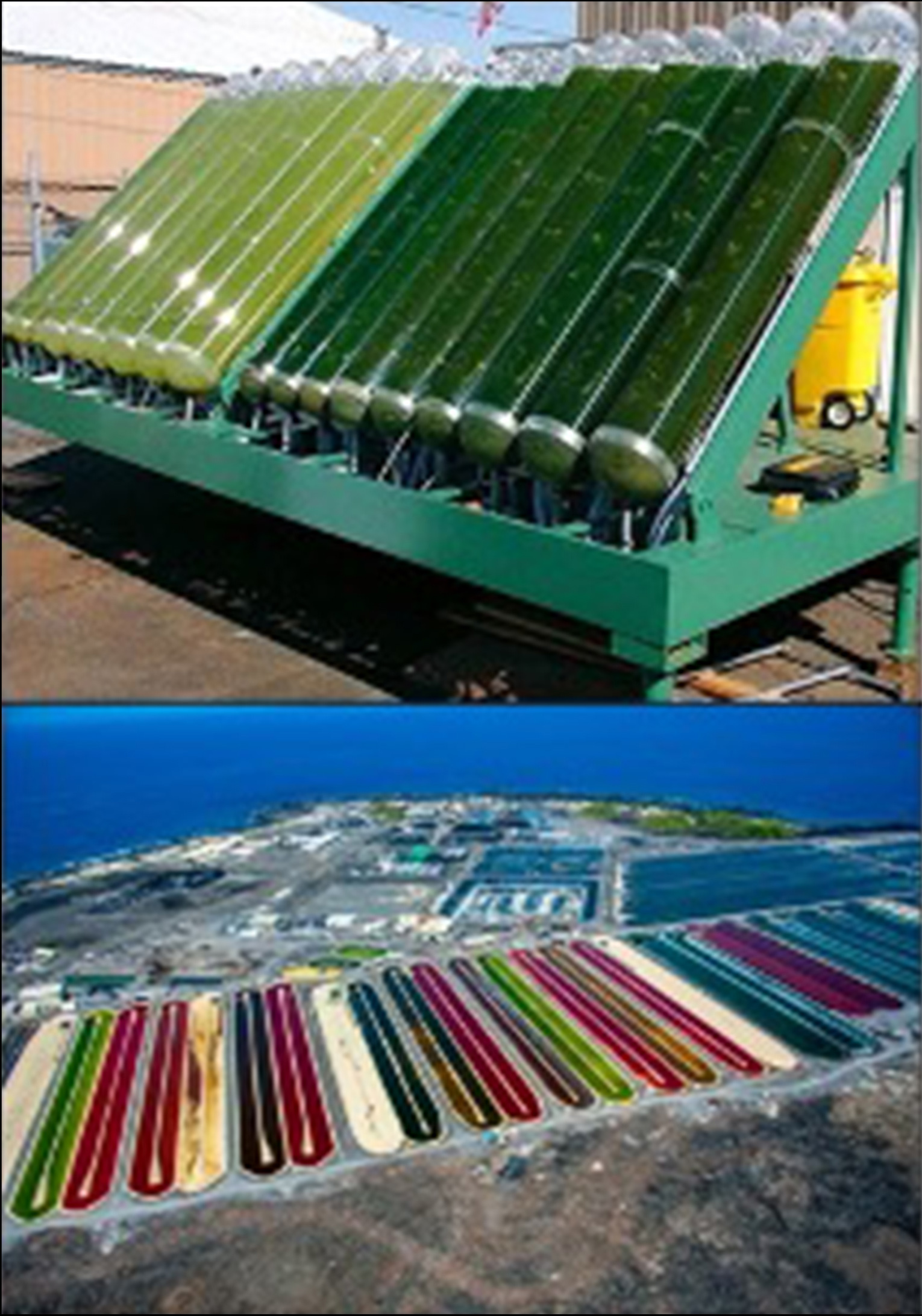 Producción masiva de microorganismos para la obtención de proteína ...