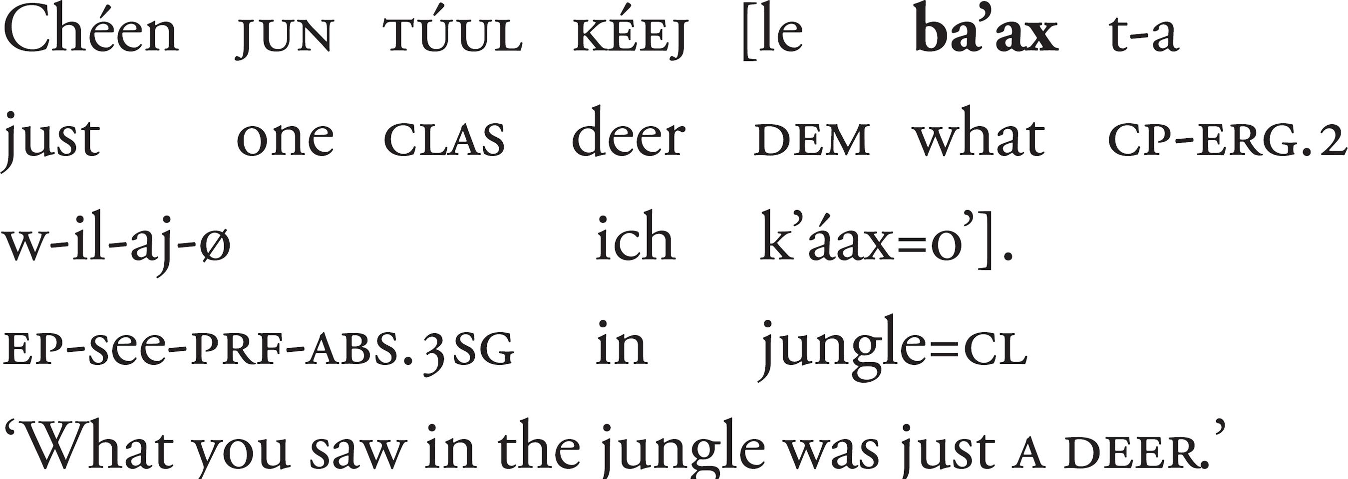 Clefts and focus in Yucatec Maya