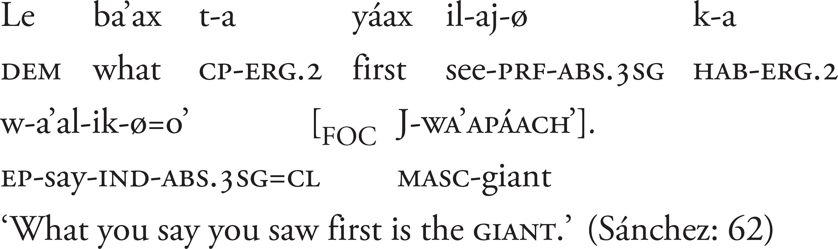 Clefts and focus in Yucatec Maya