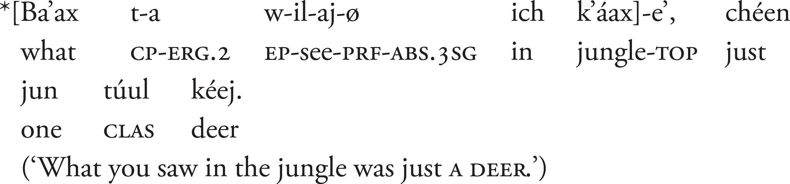 Clefts and focus in Yucatec Maya