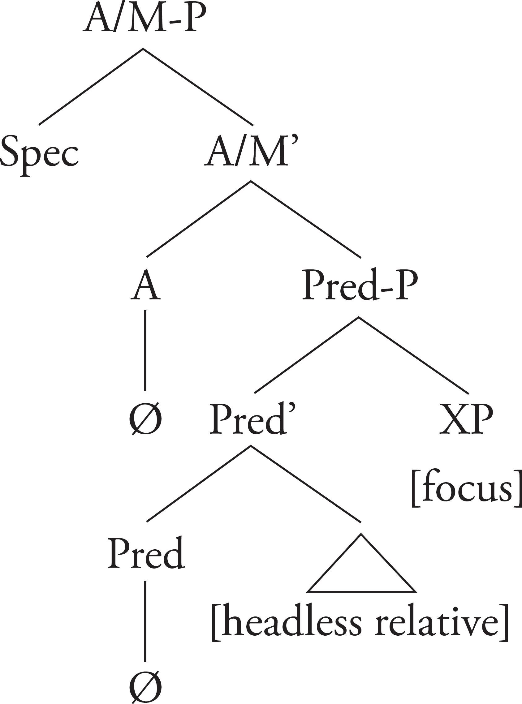 Clefts and focus in Yucatec Maya