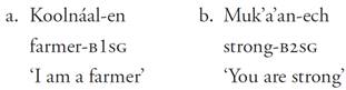 The syntax of non-verbal predication in Yucatec Maya