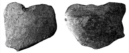 El uso de chapopote entre los antiguos habitantes del sitio ...