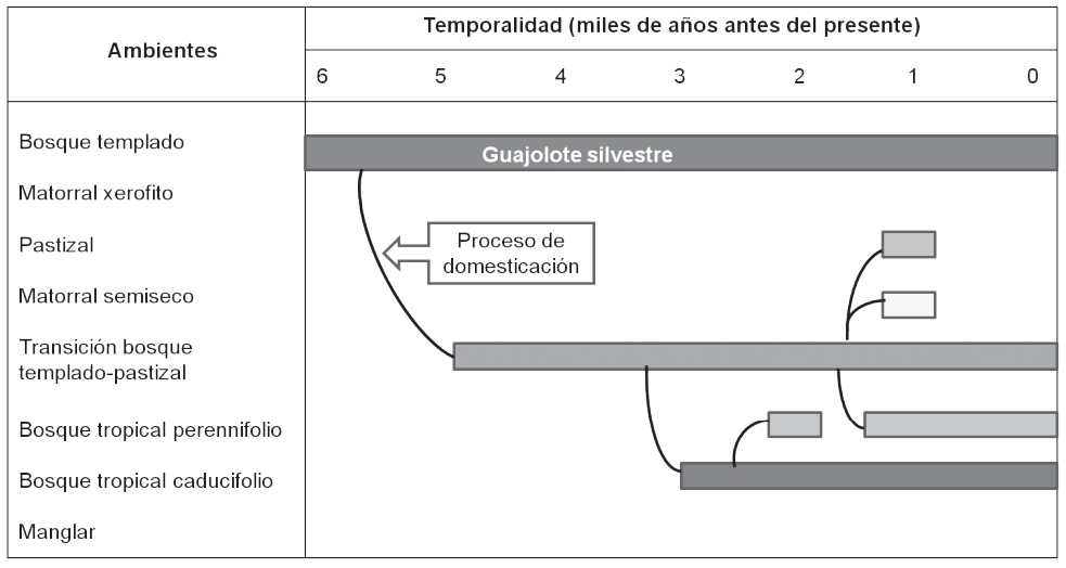 Origen y dispersión del guajolote doméstico en Mesoamérica. Una ...