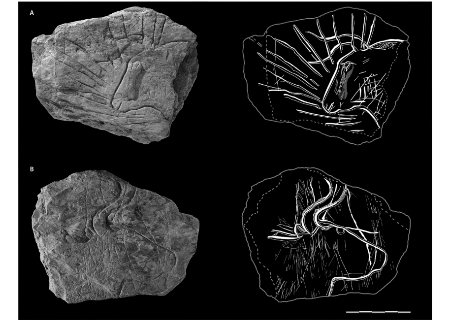Las tradiciones tecno-culturales del Tardiglaciar en Europa occidental ...