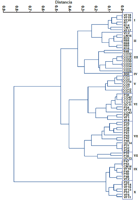 Caracterización de bacterias ácido lácticas con actividad ...