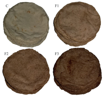 Alternativas para el aprovechamiento del cuajilote (Parmentiera edulis ...