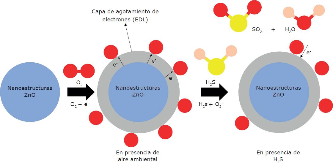 Las nanoestructuras de ZnO y sus aplicaciones como sensor de gas H2S