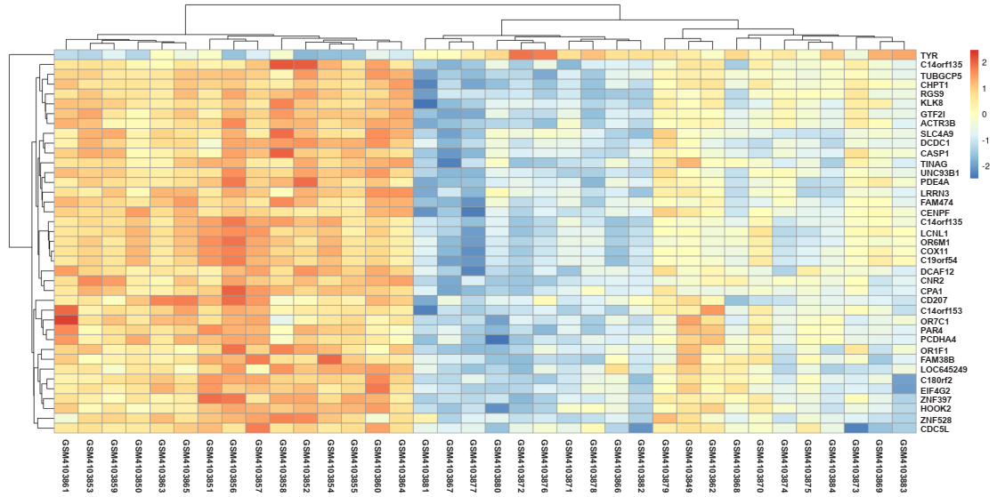 Aloe vera: capacidad antioxidante y uso potencial como agente ...