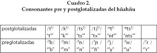 Los fenómenos glotales y el saltillo en la ortografía de las lenguas ...