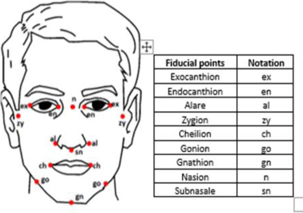 Face Classification in Adults and Minors: An Approach based on Facial ...