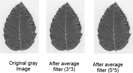 Leaf Identification Based on Shape, Color, Texture and Vines Using ...